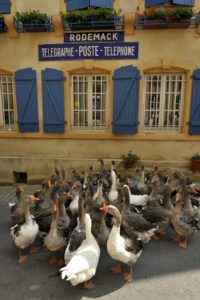 RODEMACK – Office de Tourisme FR